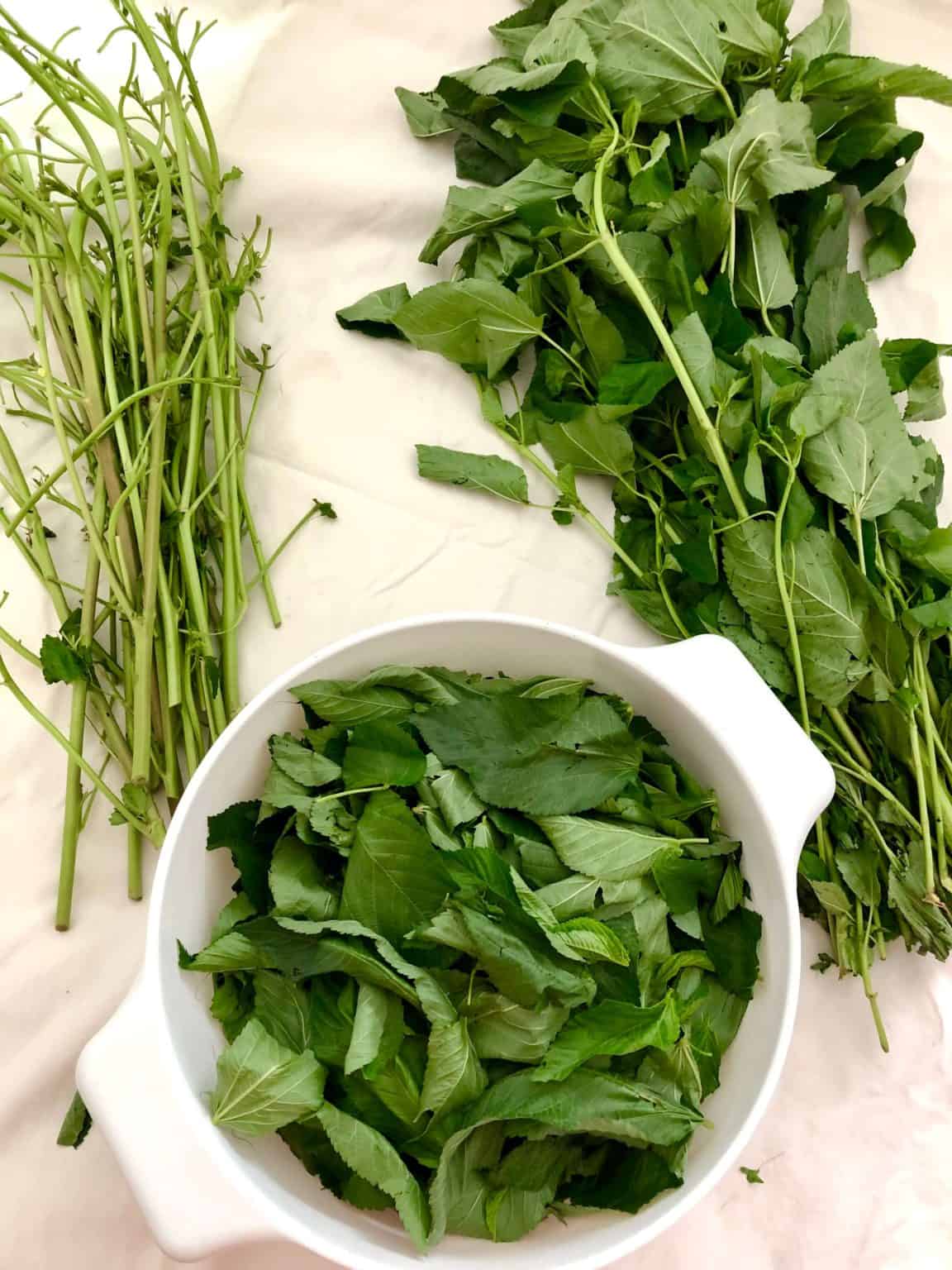 Mulukhiyah Classic Middle Eastern Dish Popular Across Arabia ...