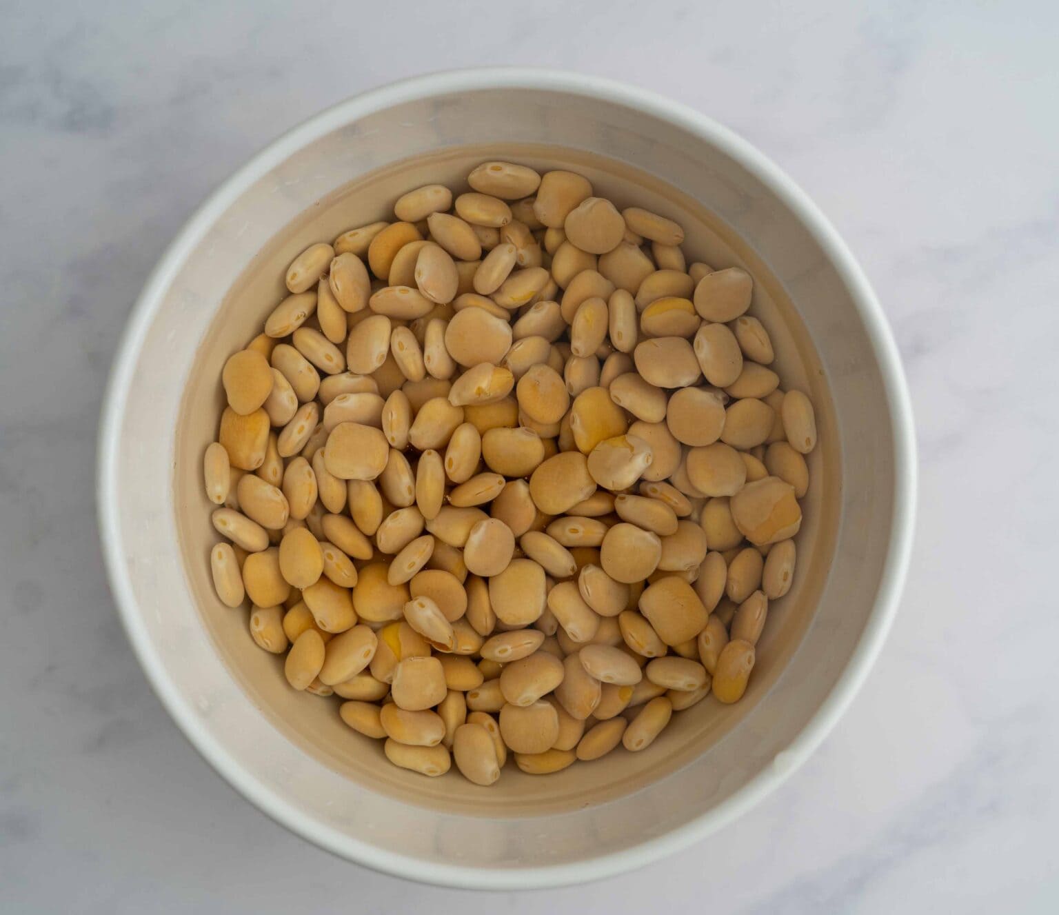 How to Make Lupini Beans (Turmus) - Palestine In A Dish