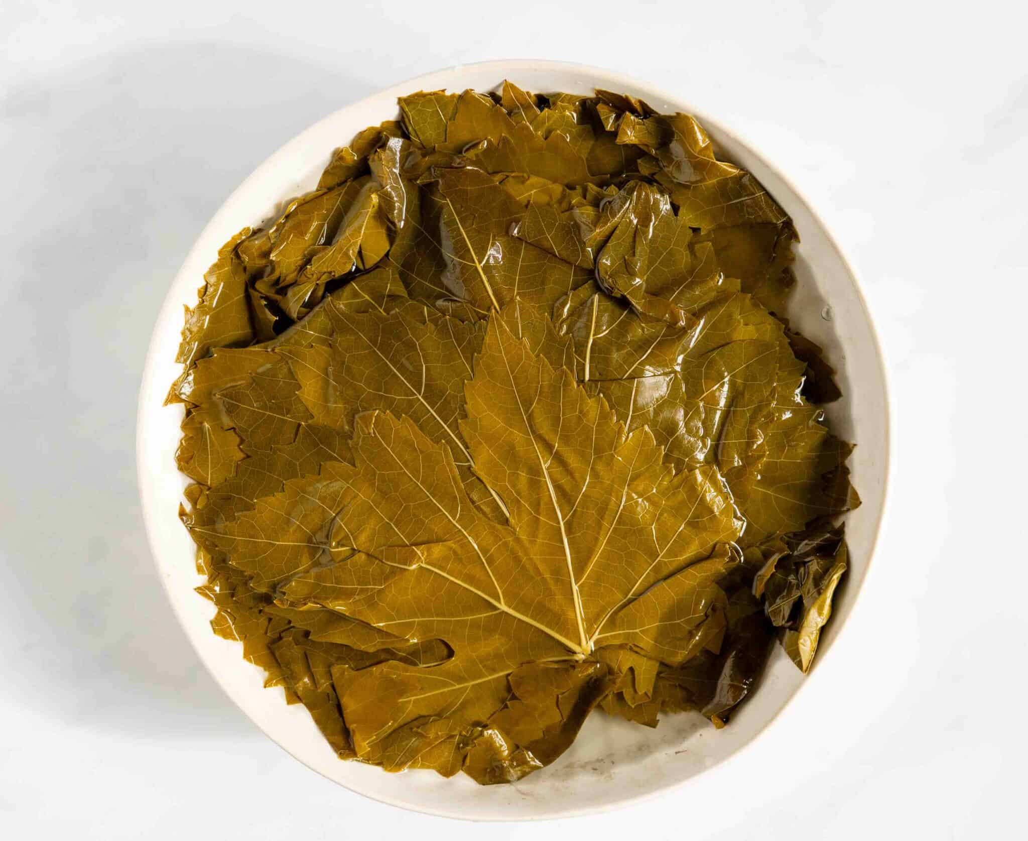 Warak Dawali - Palestine In A Dish