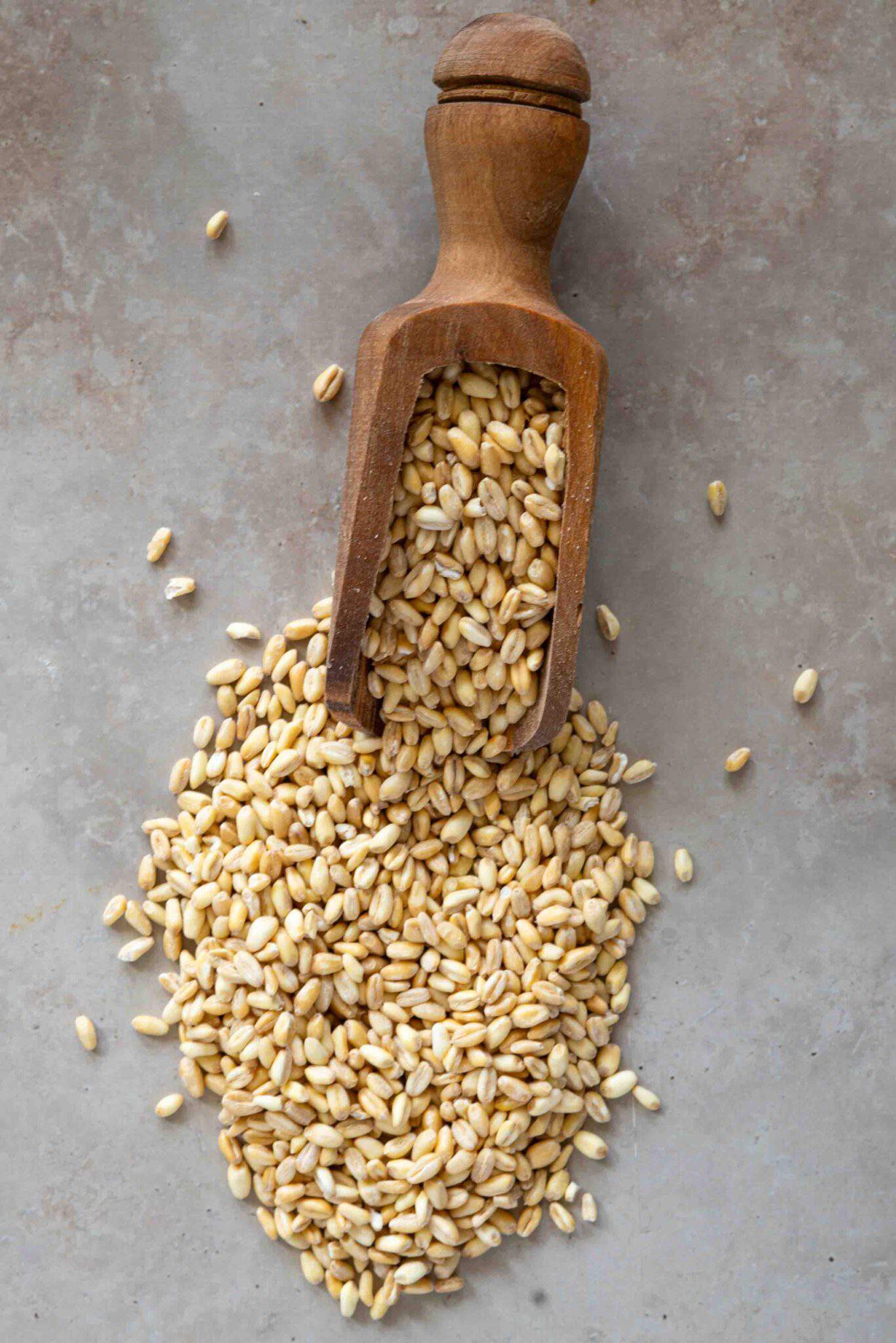 Burbara (Wheat Berry Pudding) - Palestine In A Dish