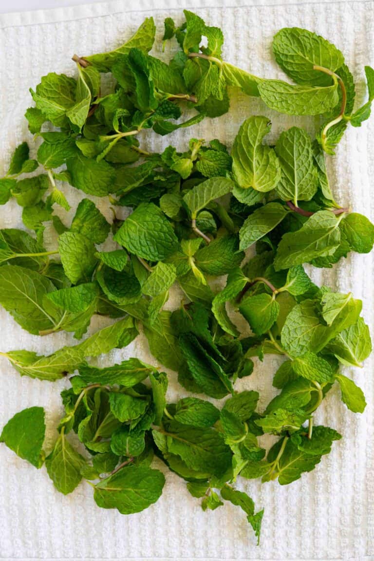 Lemon Mint Tea - Palestine In A Dish